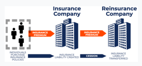Reinsurance Companies: How They Work, Comparisons of the Top Reinsurers
